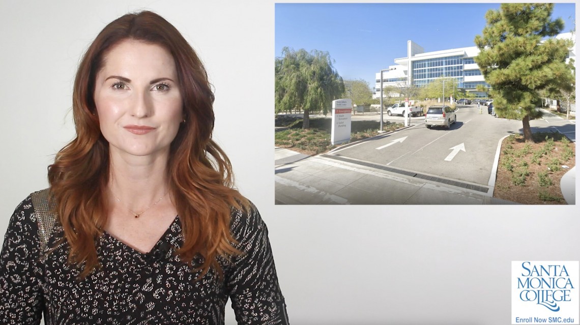 Gleam Davis Selected as Santa Monica Mayor - SM Mirror